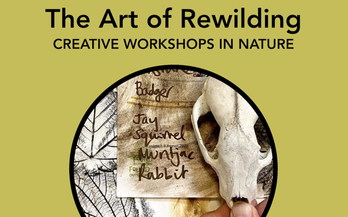 The Art of Rewilding at Found Outdoors – Queer River