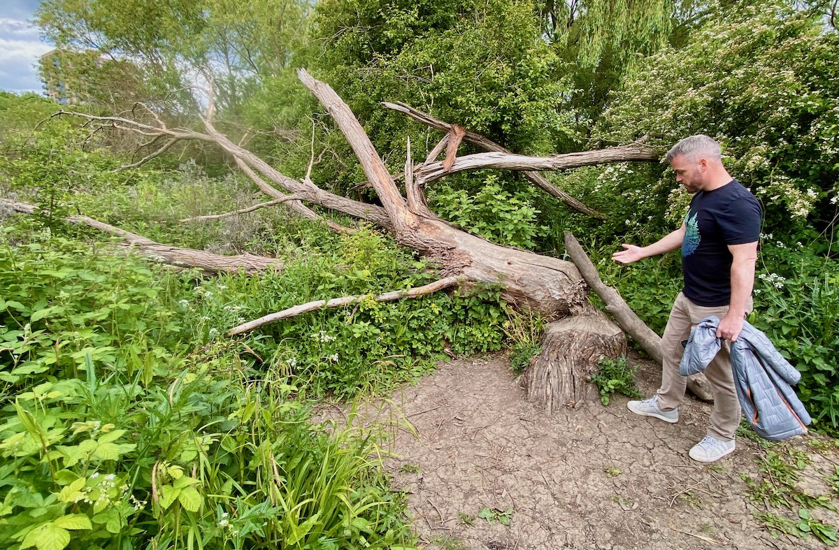 Walking with… Ealing Beaver Project’s Dr Sean McCormack – Queer River